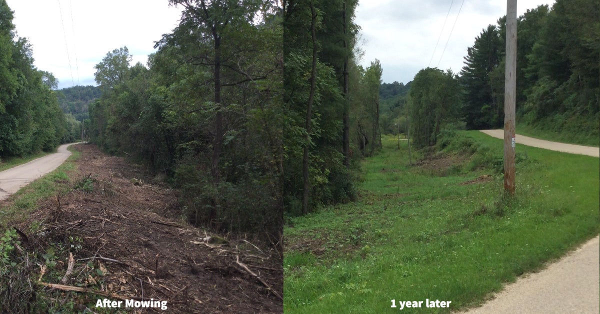 Vegetation Management | Richland Electric Cooperative